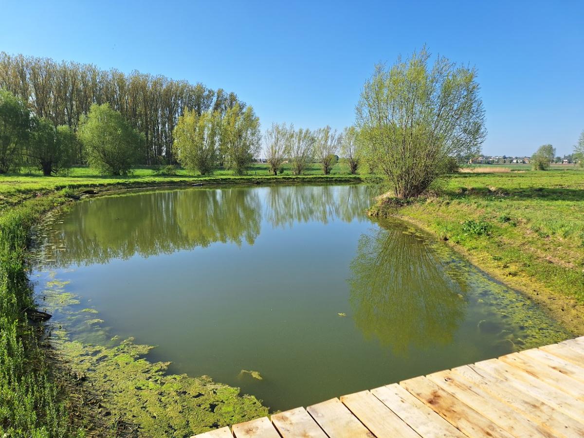 Provinciedomein De Ledegemse Meersen | Gemeente Ledegem